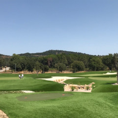 Transforming Austin Golf Courses with Artificial Turf